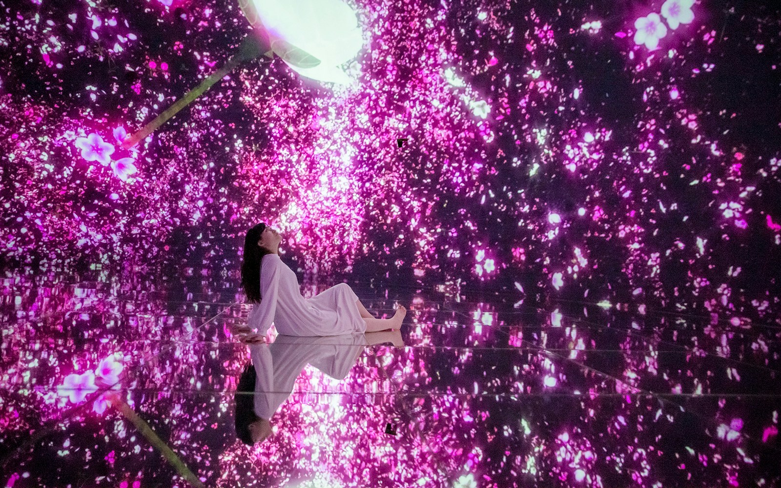 teamLab Planets Tickets | Tokyo’s Top Digital Art Museum